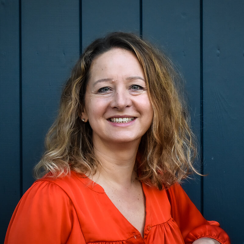 About Us - We Are Fruit